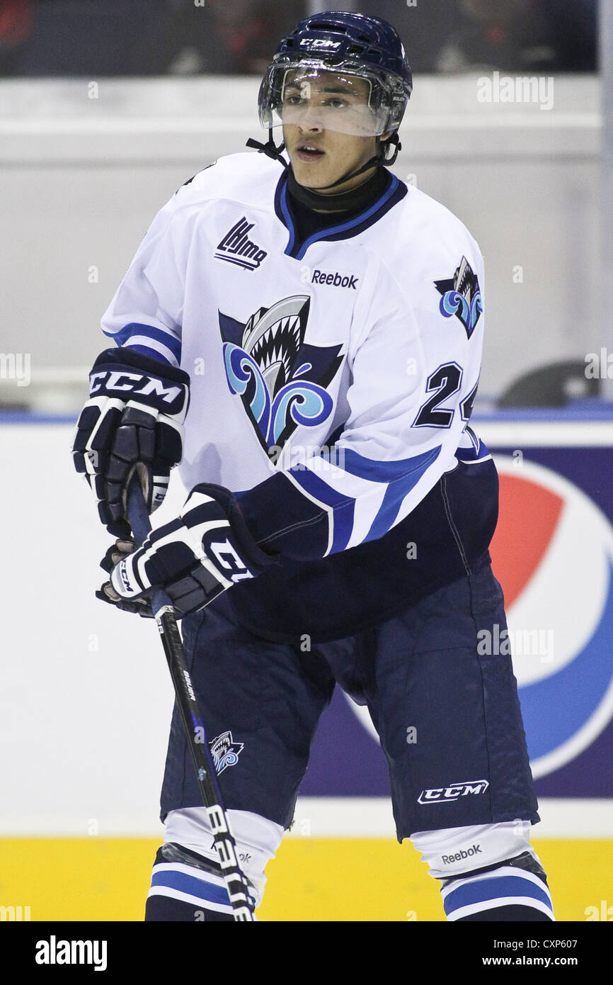 Qmjhl lhjmq hockey profile photo hi-res stock photography and images ...