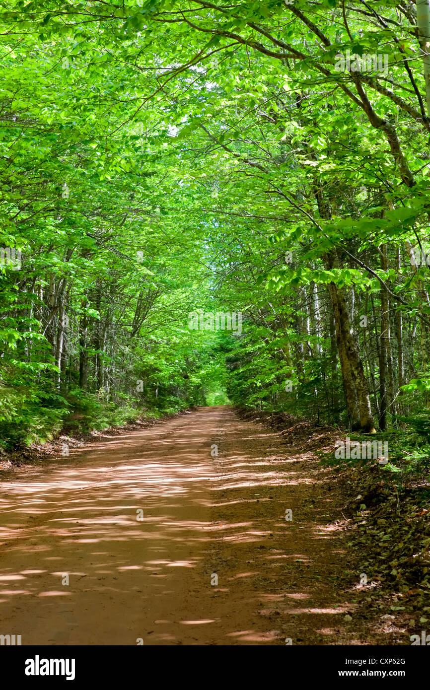 Clay trees hi-res stock photography and images - Alamy