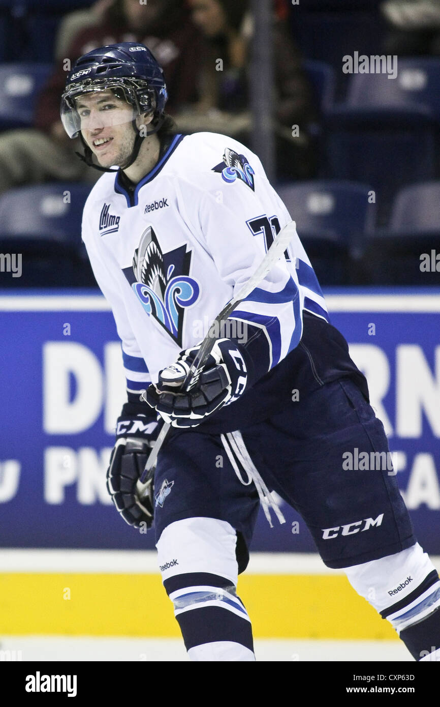 Qmjhl lhjmq hockey profile photo hi-res stock photography and images ...
