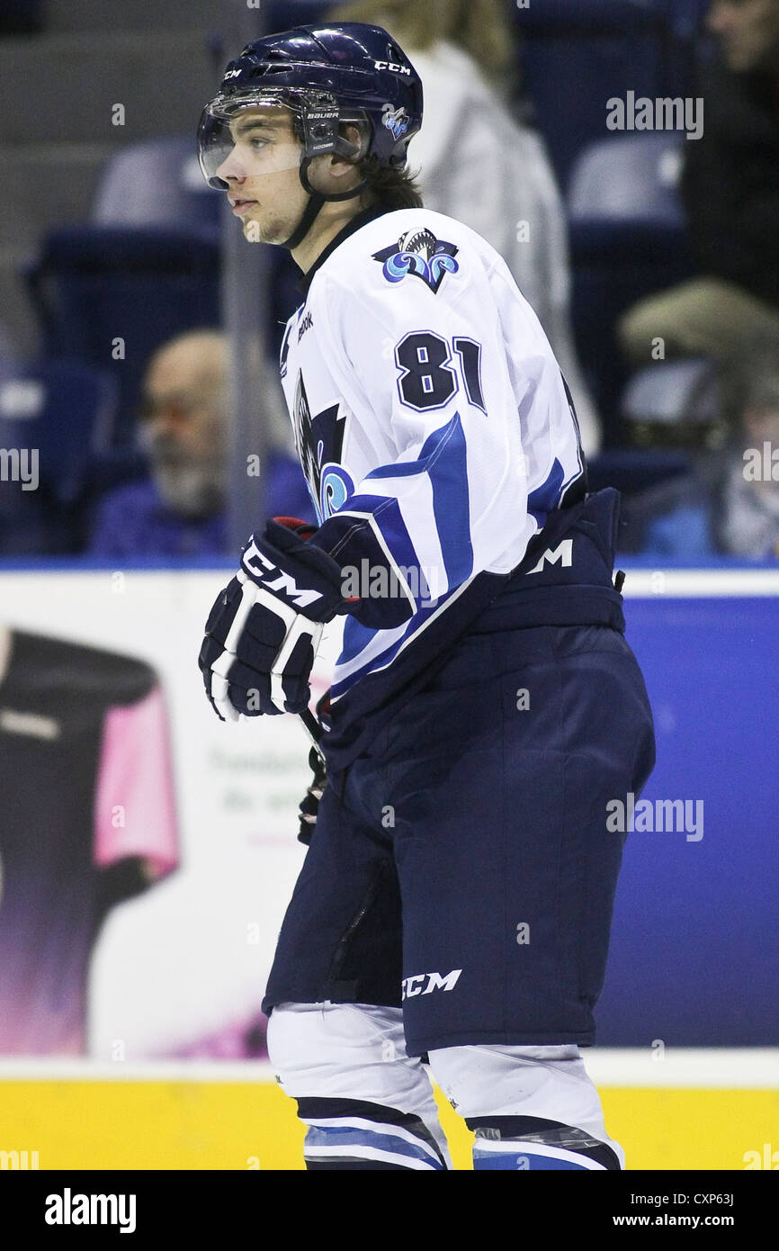 Qmjhl lhjmq hockey profile photo hi-res stock photography and images ...