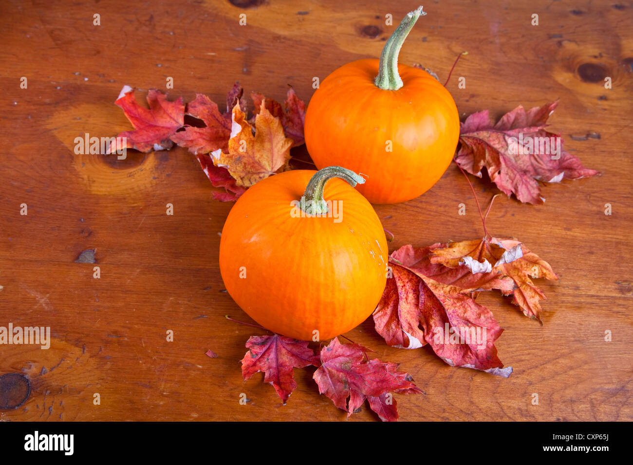 Miniature leaves hi-res stock photography and images - Alamy