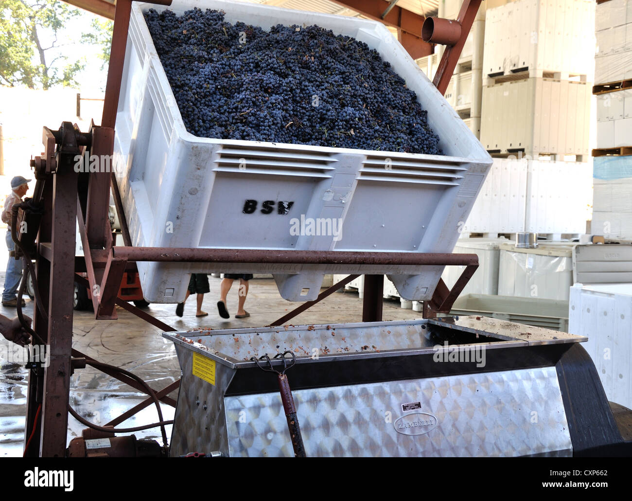Grape crusher hi-res stock photography and images - Alamy