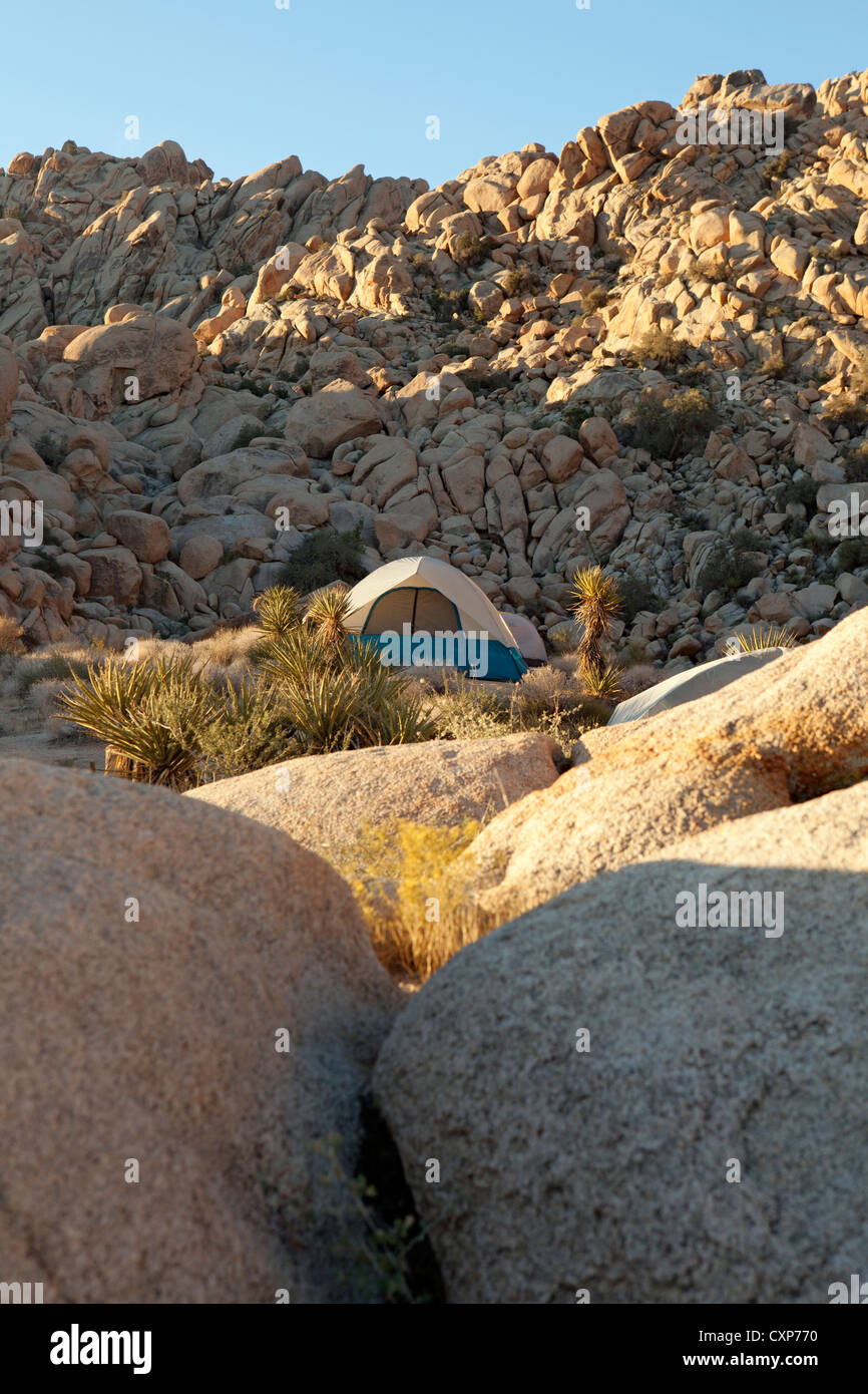 Camping desert tent and cactus hi-res stock photography and images - Alamy