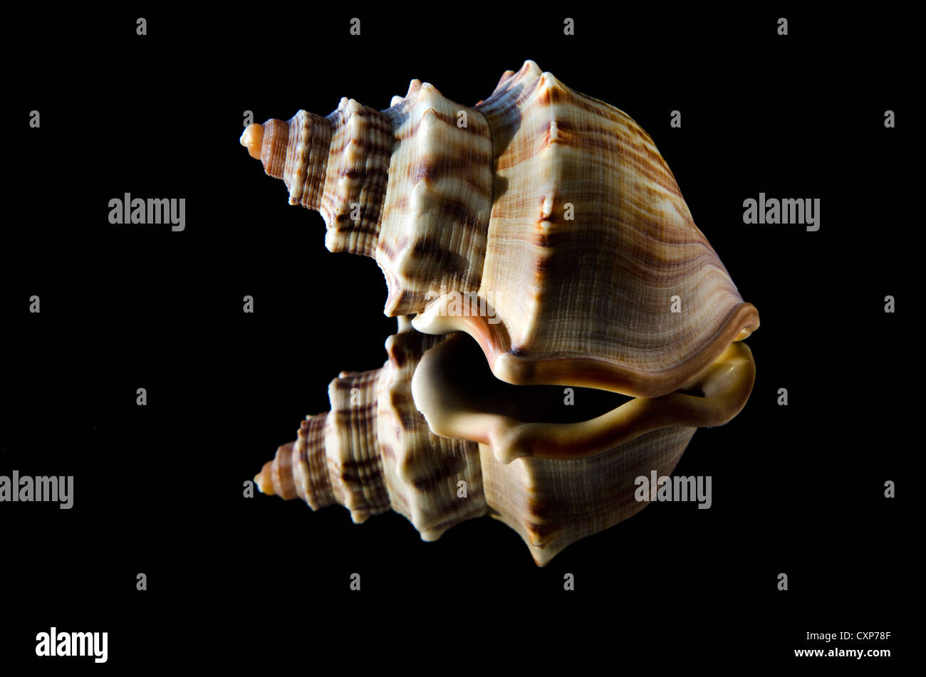 Spiral Wave Design High Resolution Stock Photography and Images - Alamy