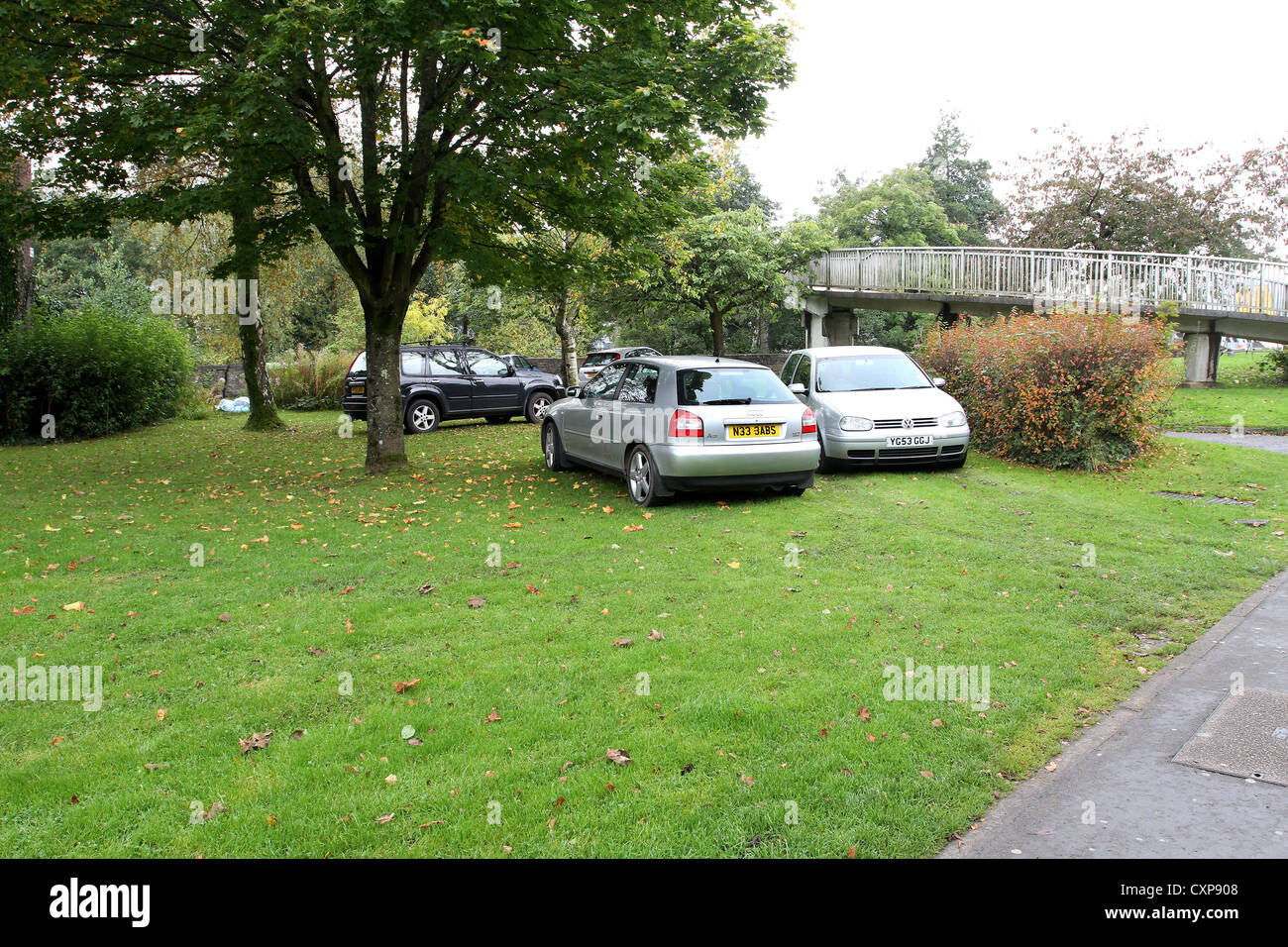 Over flow parking - Cars on grass Stock Photo - Alamy