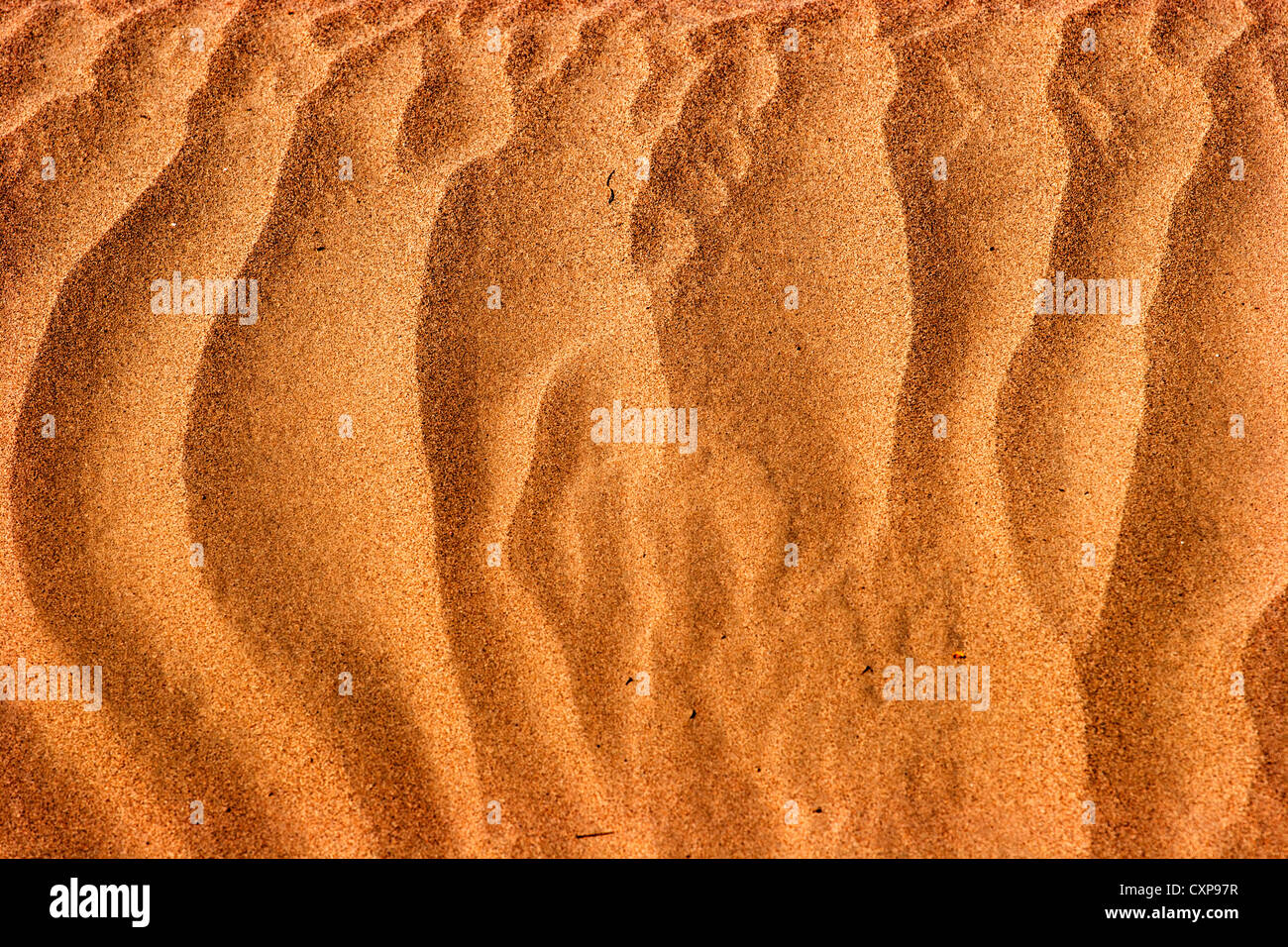 Detail of sand swirls Stock Photo - Alamy