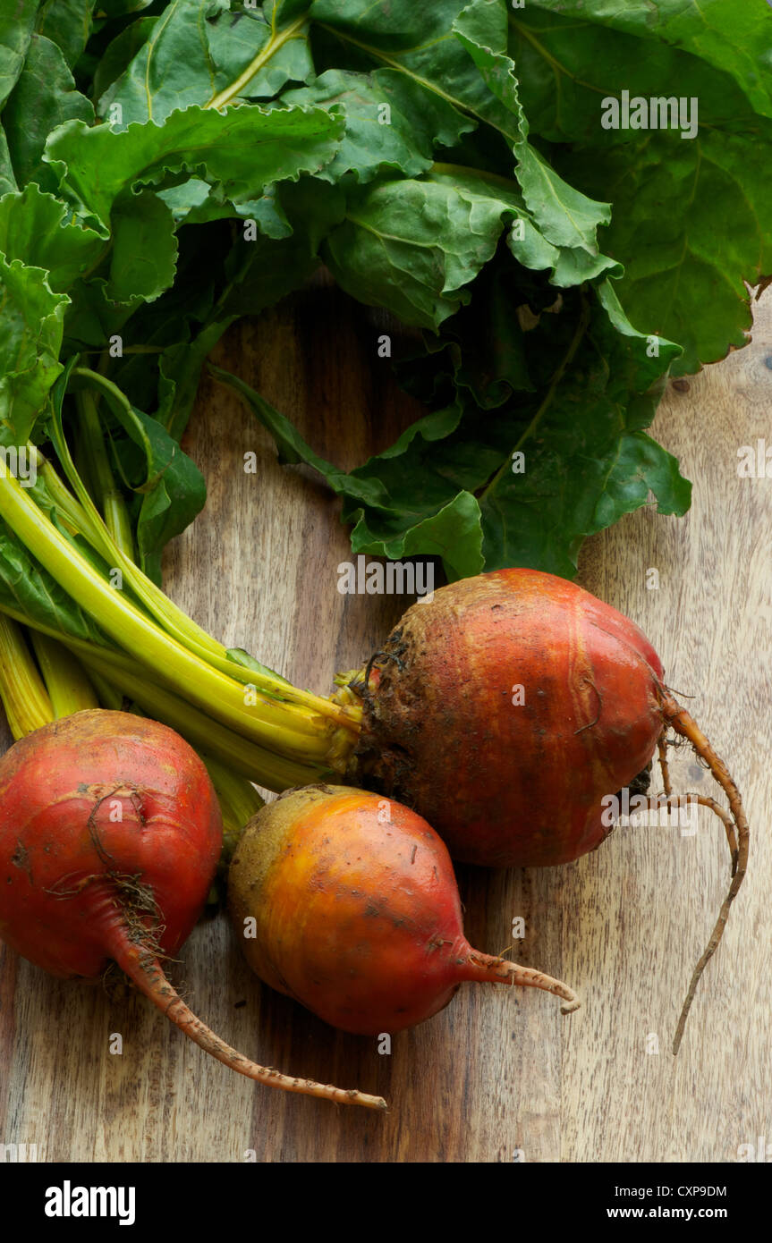 Golden beet hi-res stock photography and images - Alamy