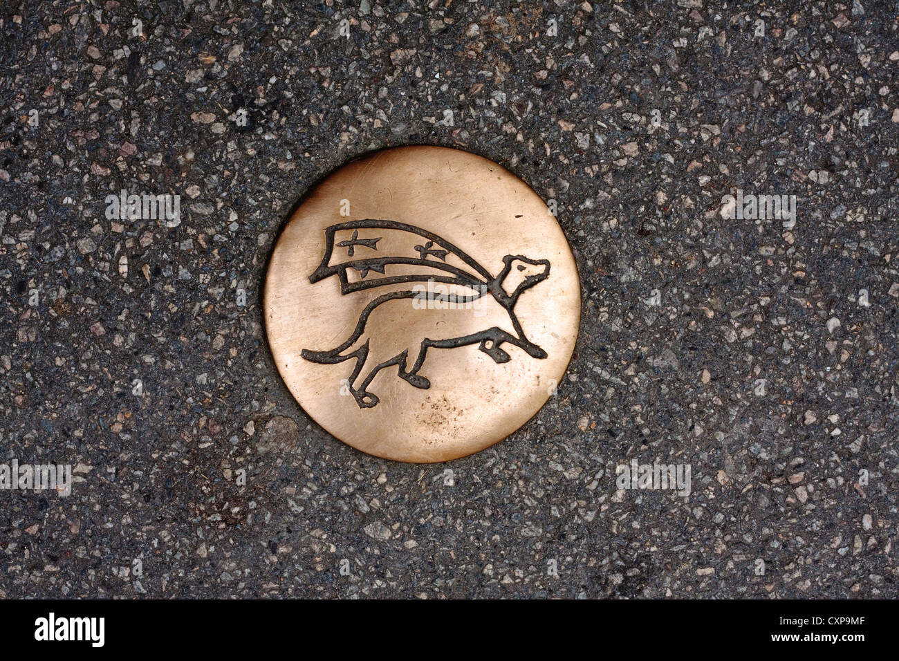 A brass floor stud/marker engraved with a stoat wearing a scarf, the ...