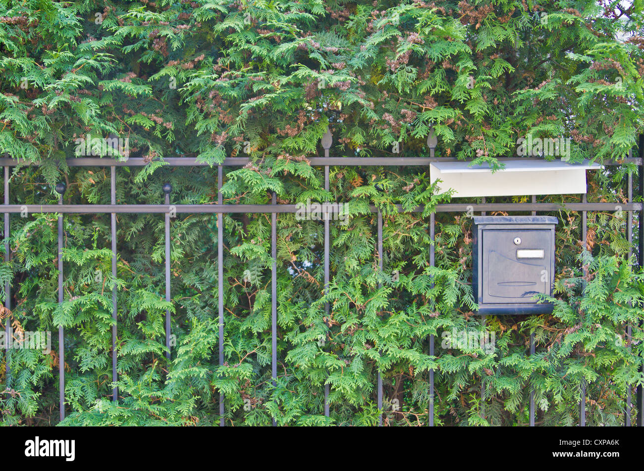 mailbox on green background with textspace Stock Photo - Alamy