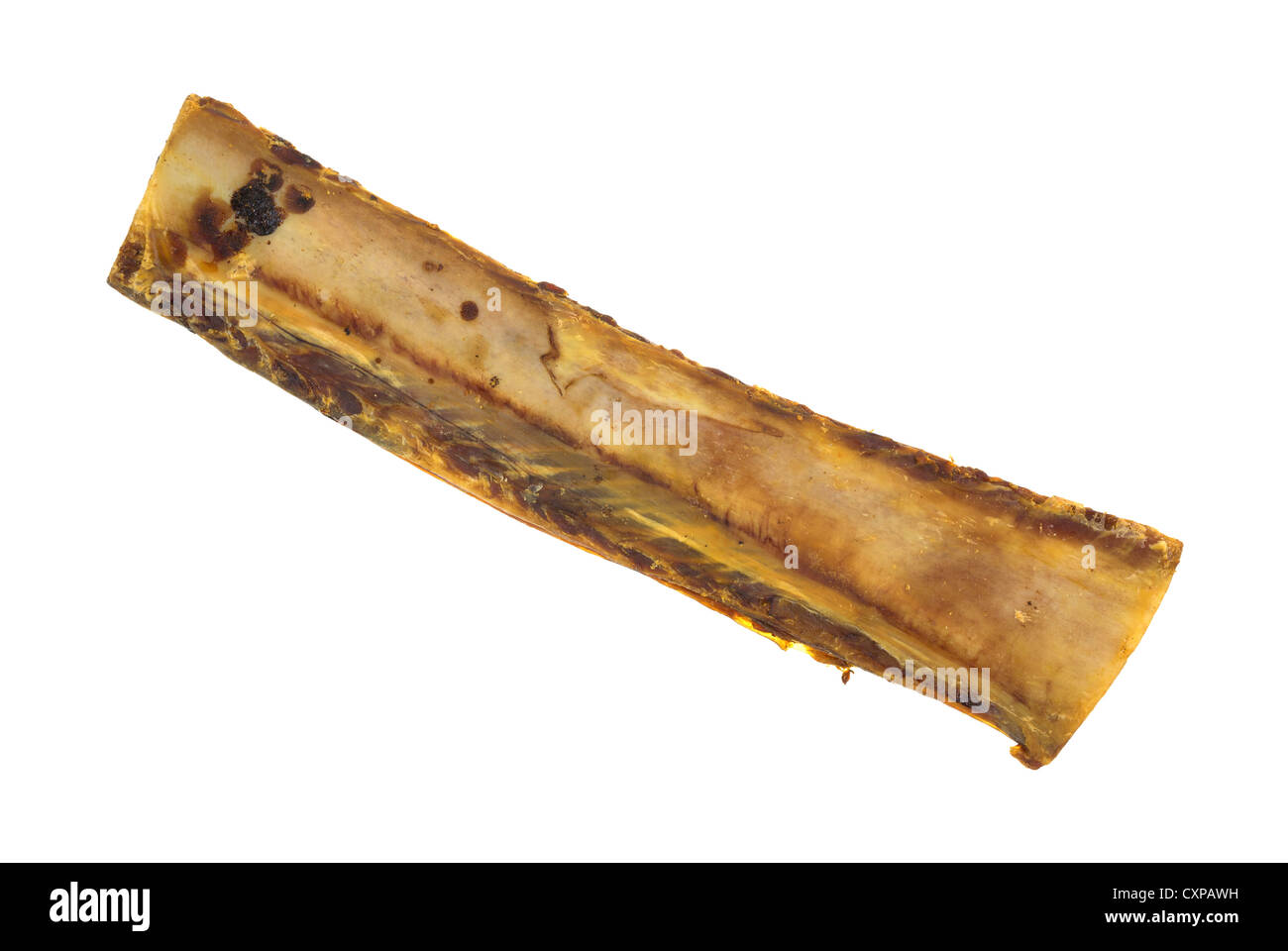 A rib dog bone on a white background Stock Photo - Alamy
