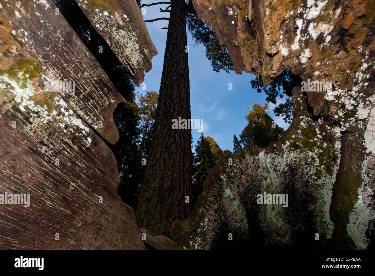 National parks silhouette hi-res stock photography and images - Alamy