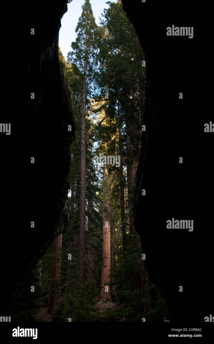 National parks silhouette hi-res stock photography and images - Alamy