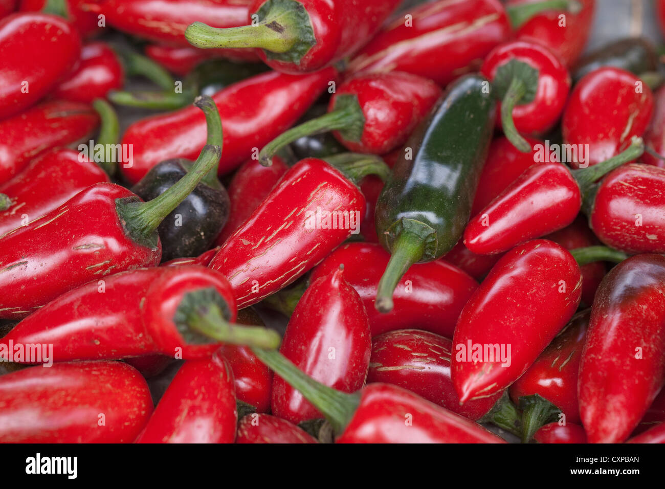 Chile and costa rica hi-res stock photography and images - Alamy