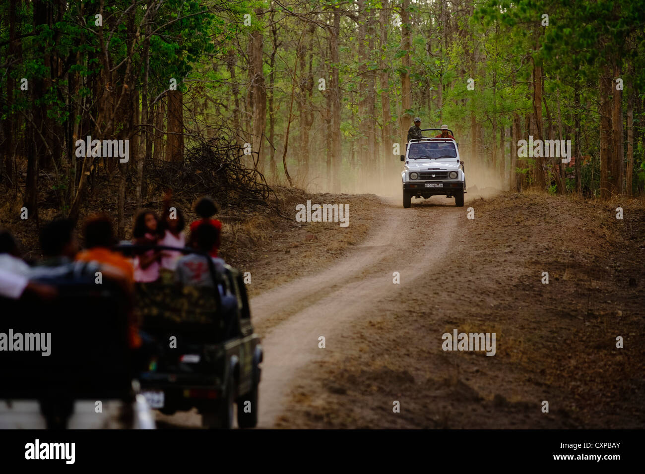 Pench tiger reserve forest hi-res stock photography and images - Alamy