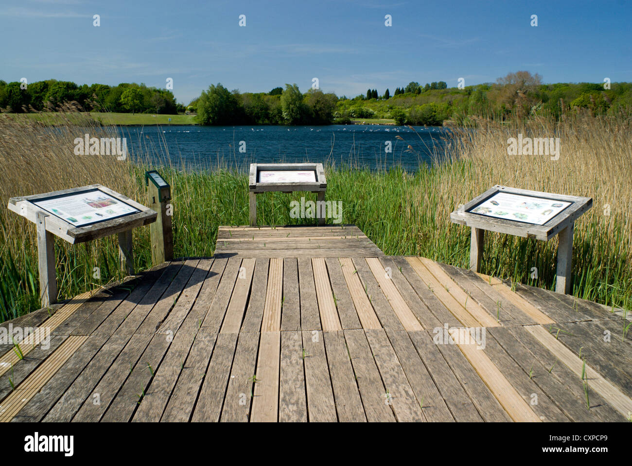 Cosmeston wildlife park hi-res stock photography and images - Alamy