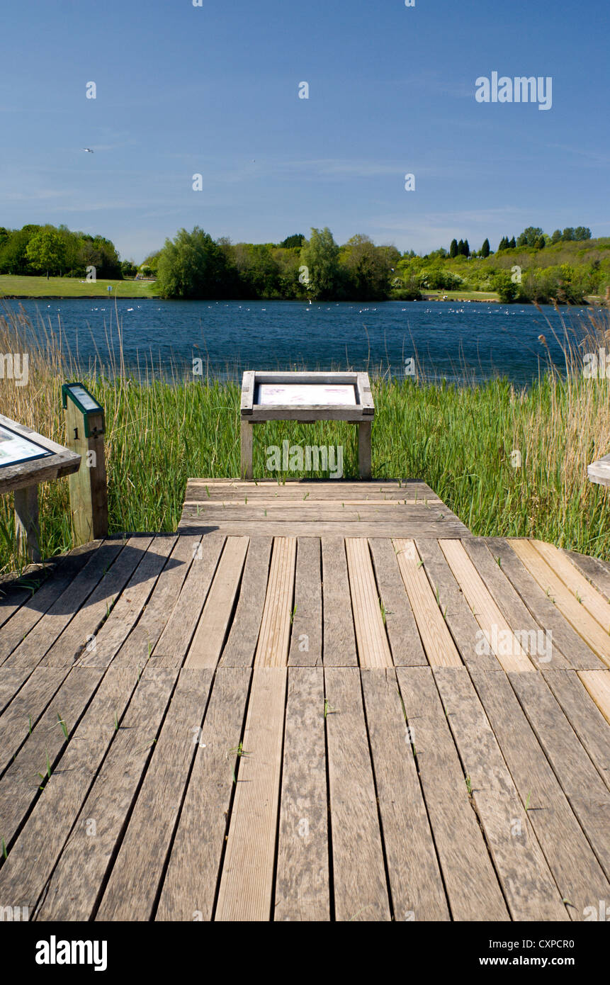 Cosmeston wildlife park hi-res stock photography and images - Alamy