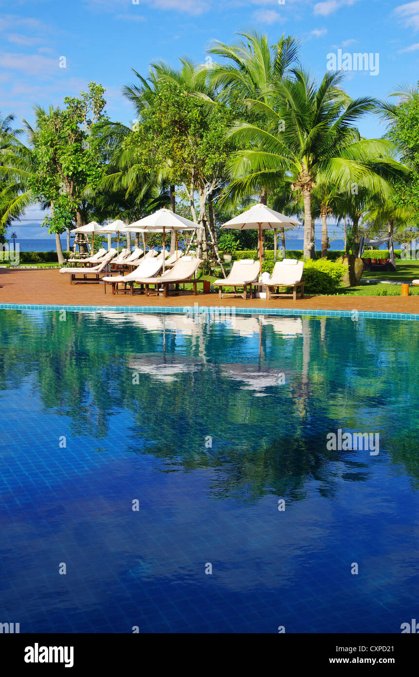 swimming pool with coconut tree and white umbrella Stock Photo - Alamy