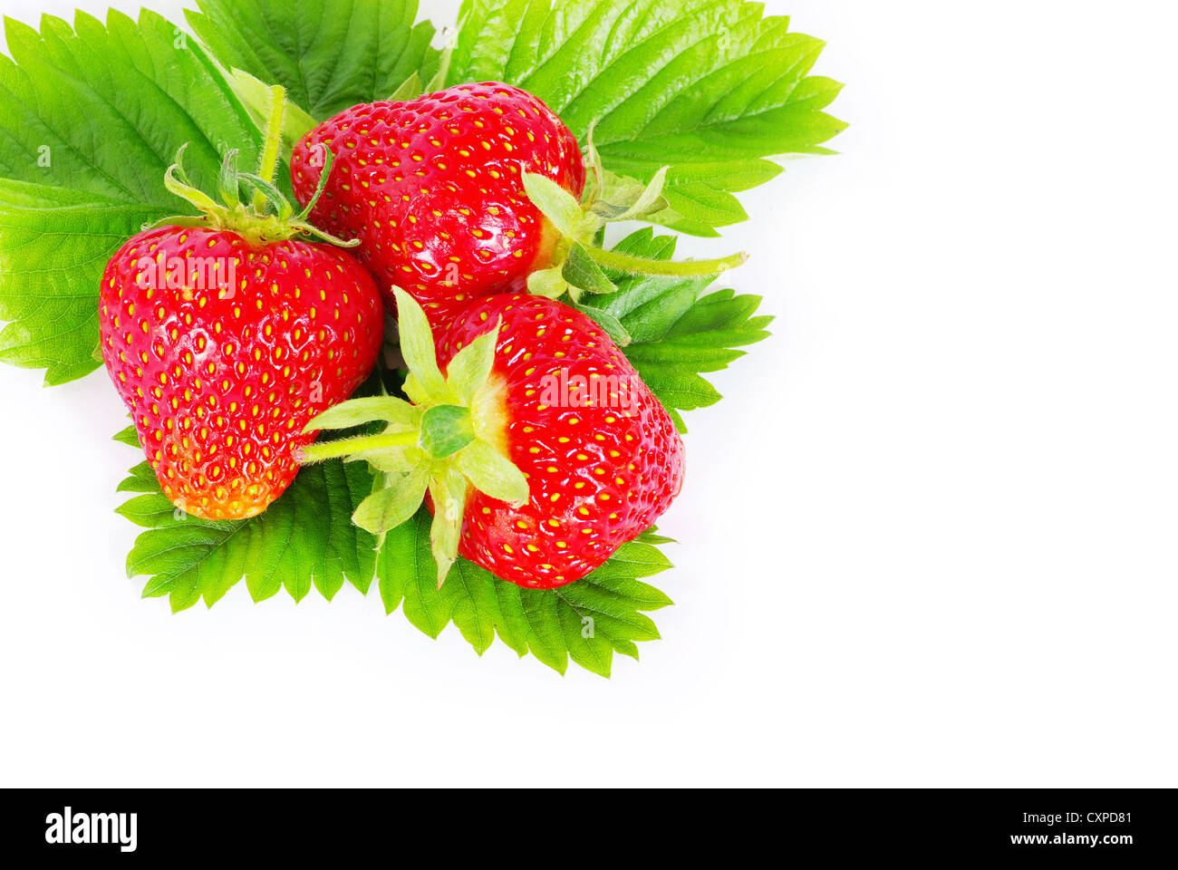 The strawberry isolated over white Stock Photo - Alamy