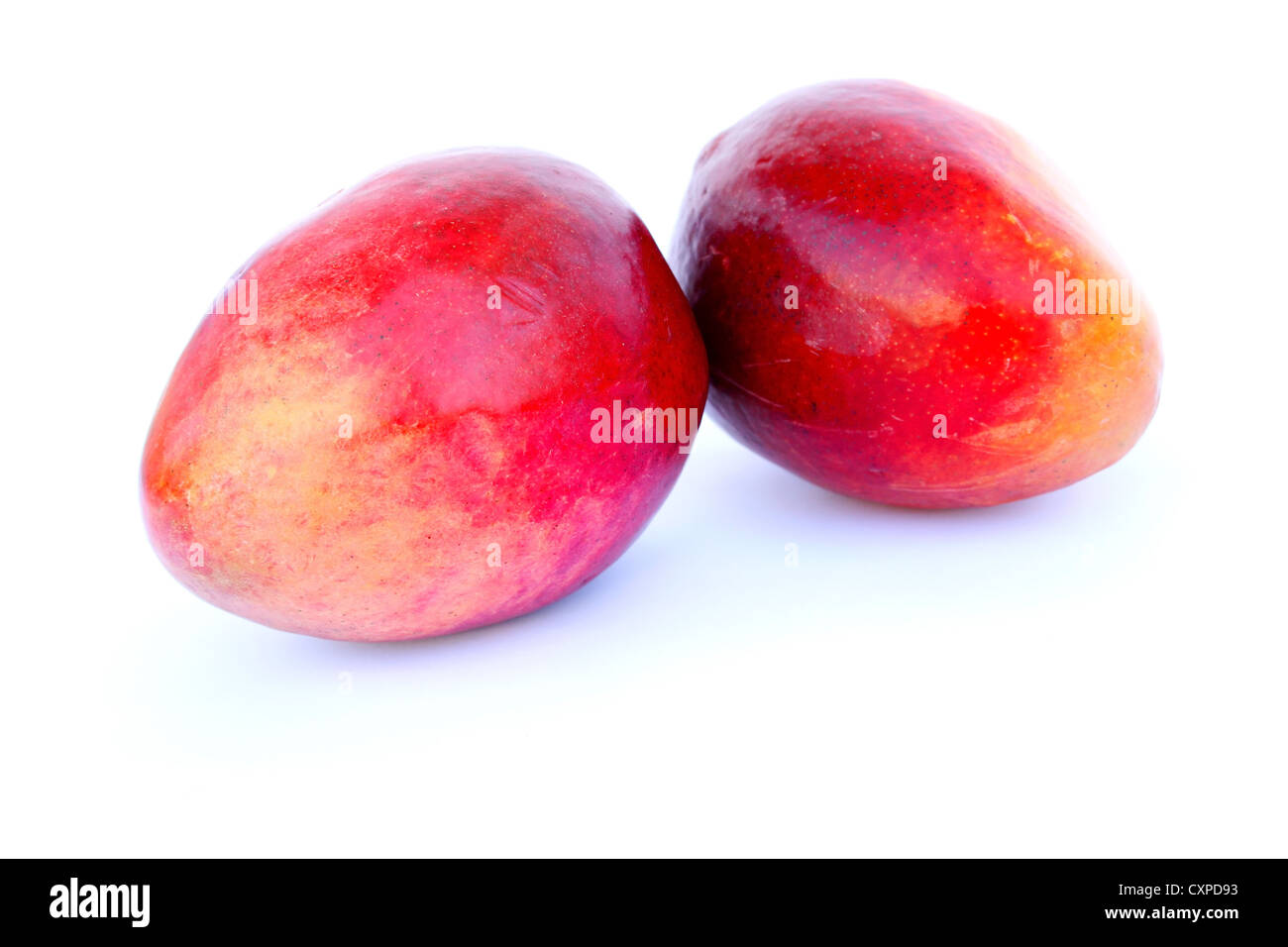 Two ripe mangoes isolated on white background Stock Photo - Alamy