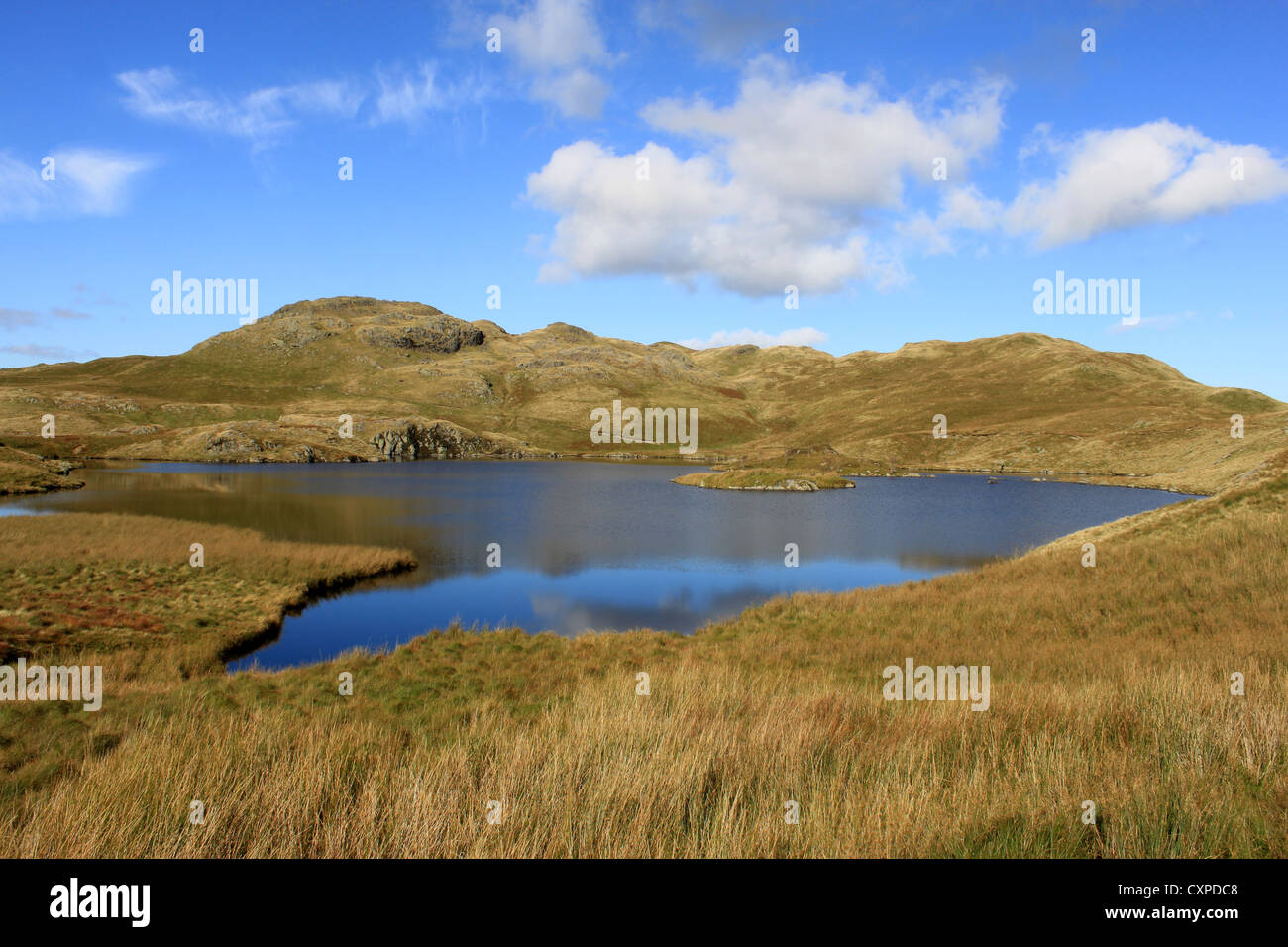 View looking North across Angle Tarn to Angletarn Pikes in the English ...