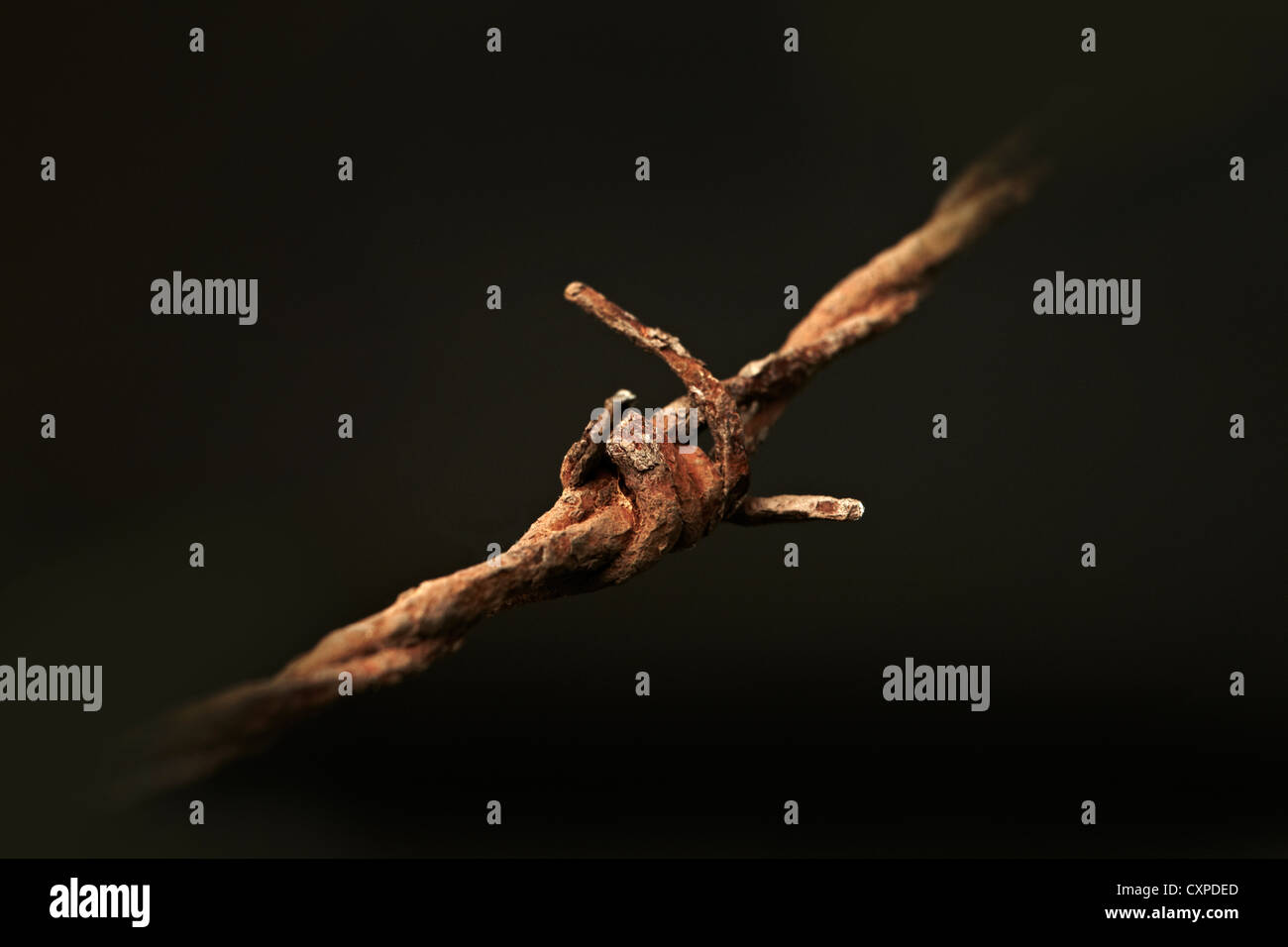 RUSTY BARBED WIRE Stock Photo - Alamy