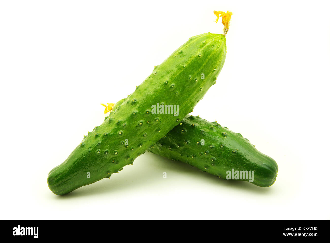Image of salad cucumbers hi-res stock photography and images - Alamy