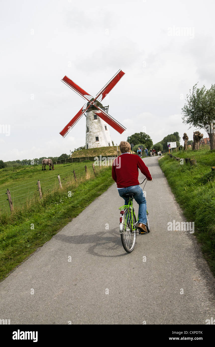 Man on bicycle in front of windmill, Outside Brugge, Holland Stock ...