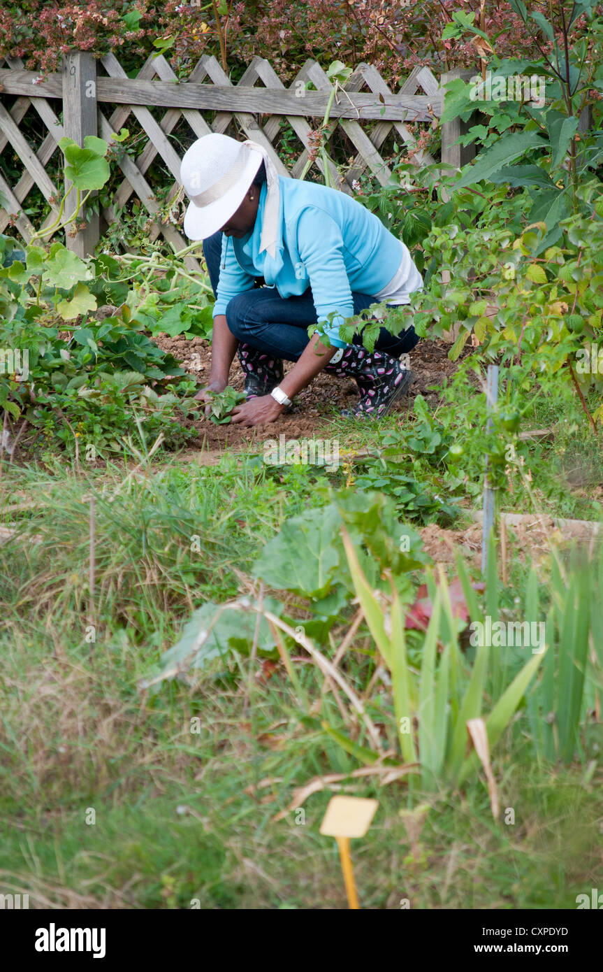 Potager kitchen garden hi-res stock photography and images - Alamy