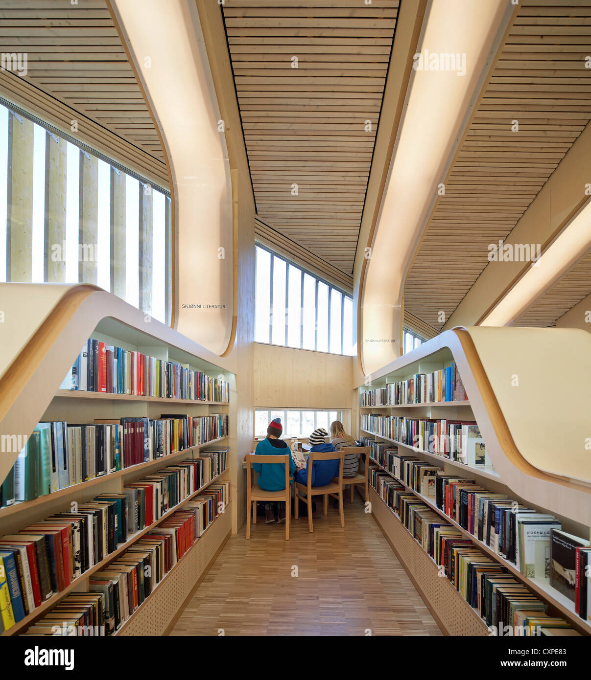 Working library hi-res stock photography and images - Alamy