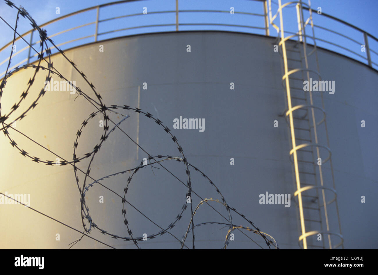 Detail of large oil or chemical storage tank with its ladder and ...