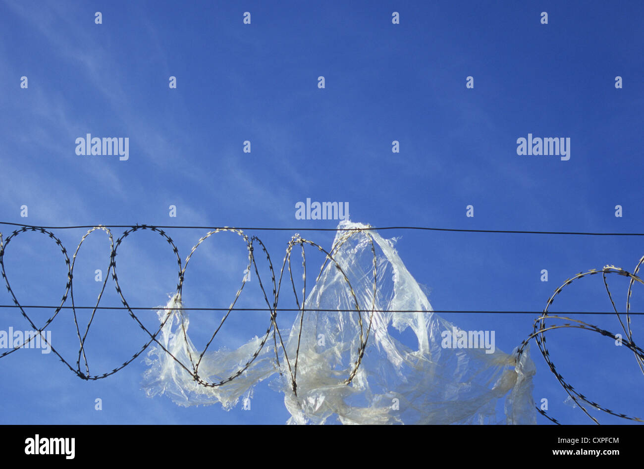 Strands of wire with loops of razor wire with ripped clear plastic ...