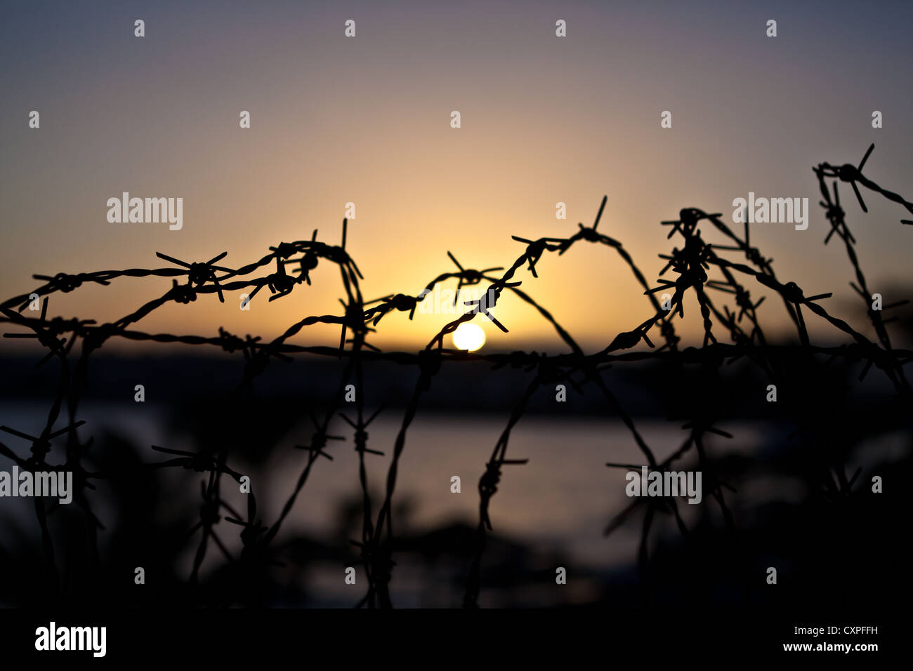 Barbed Wire set in front of a barbed wire fence Egypt Stock Photo - Alamy