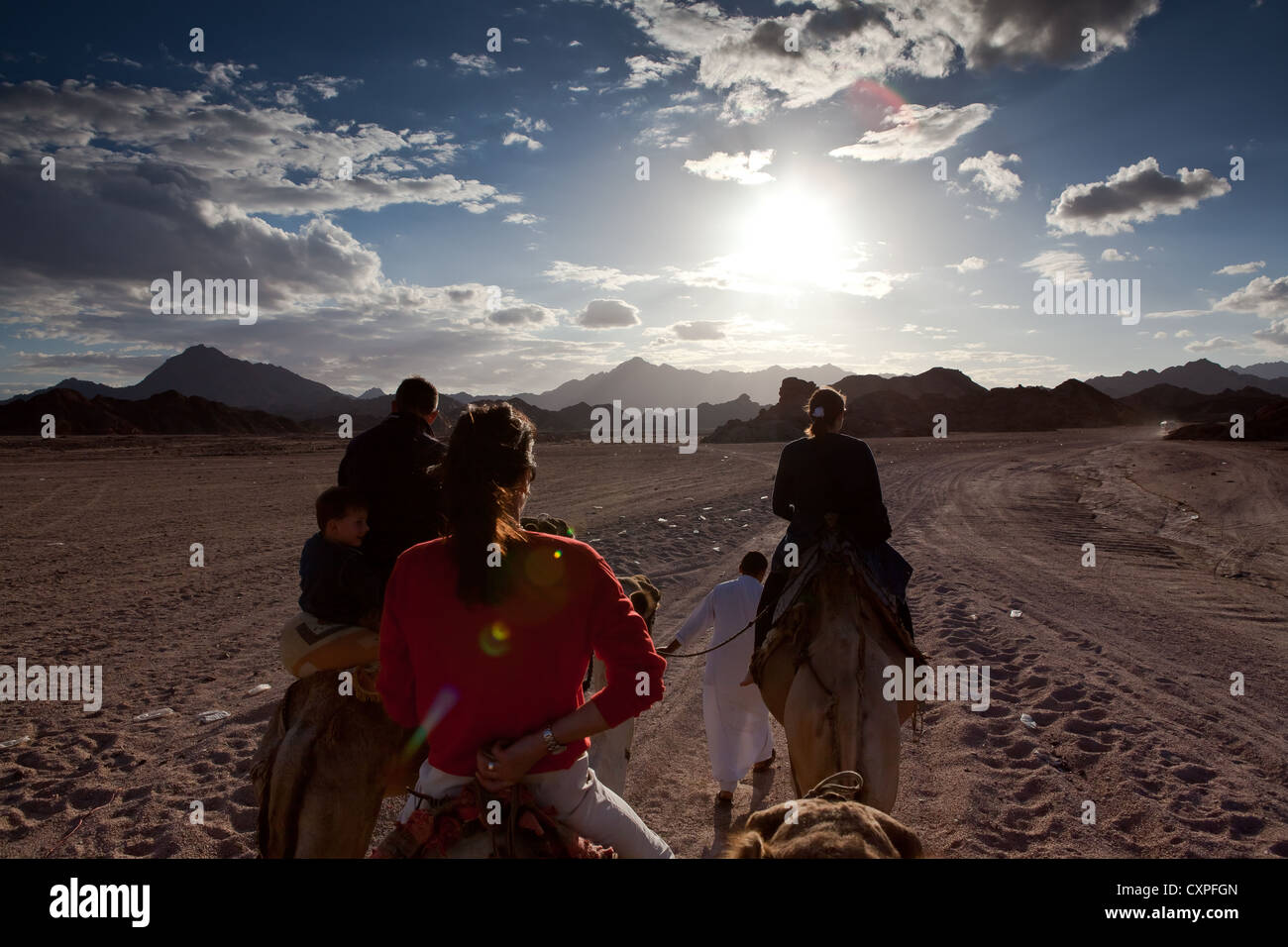 Camel and mountains hi-res stock photography and images - Alamy