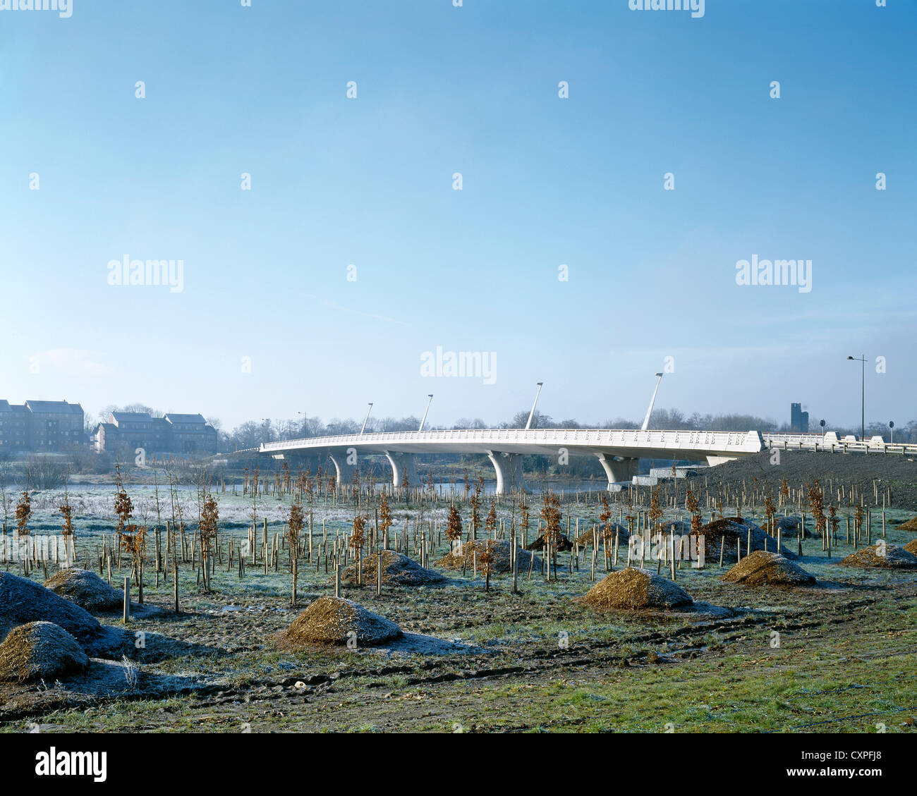 Pedestrian Bridge, UL, Limerick, Ireland. Architect: Murray O'Laoire ...