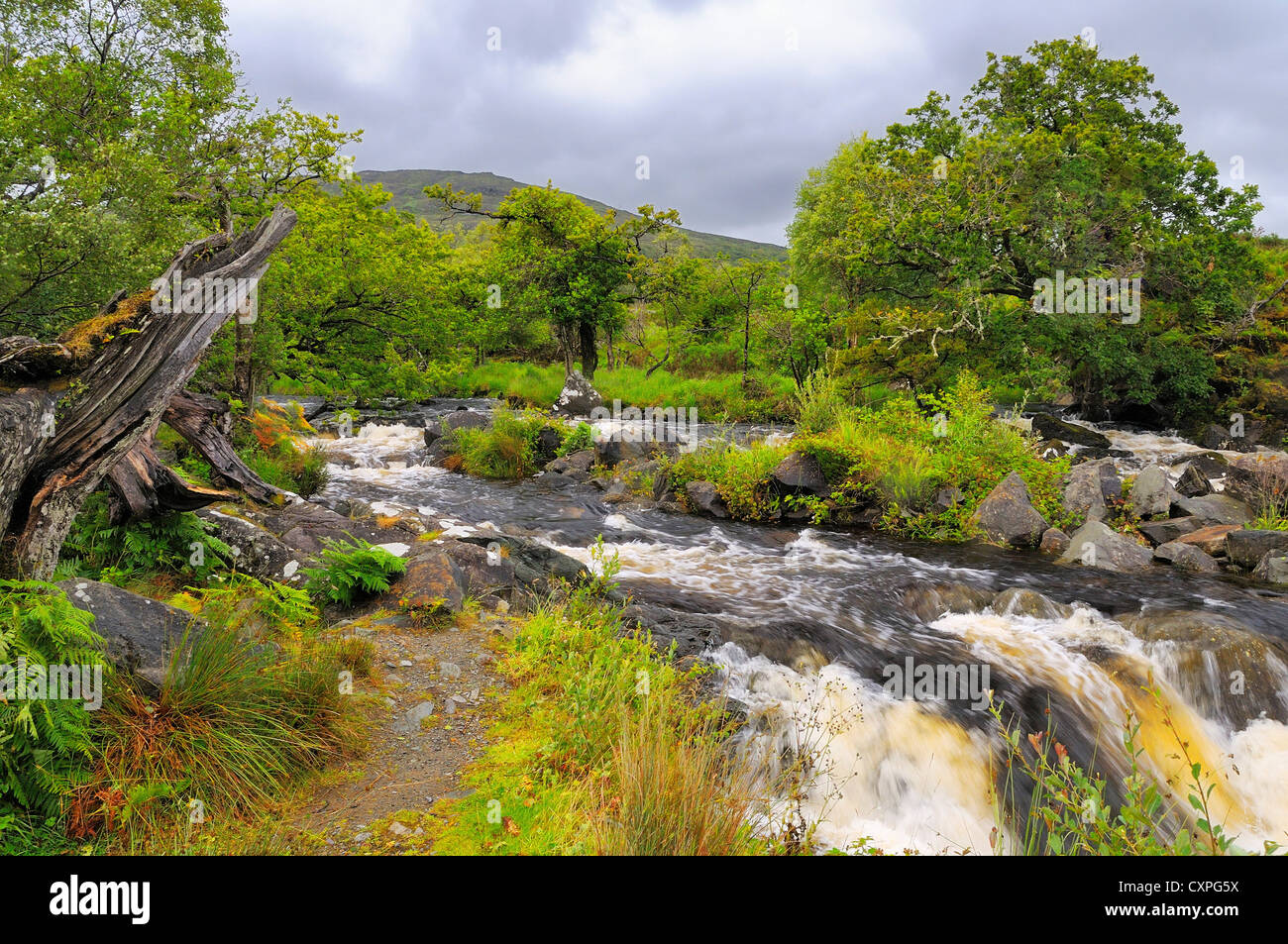 Upper lake killarney national park hi-res stock photography and images ...