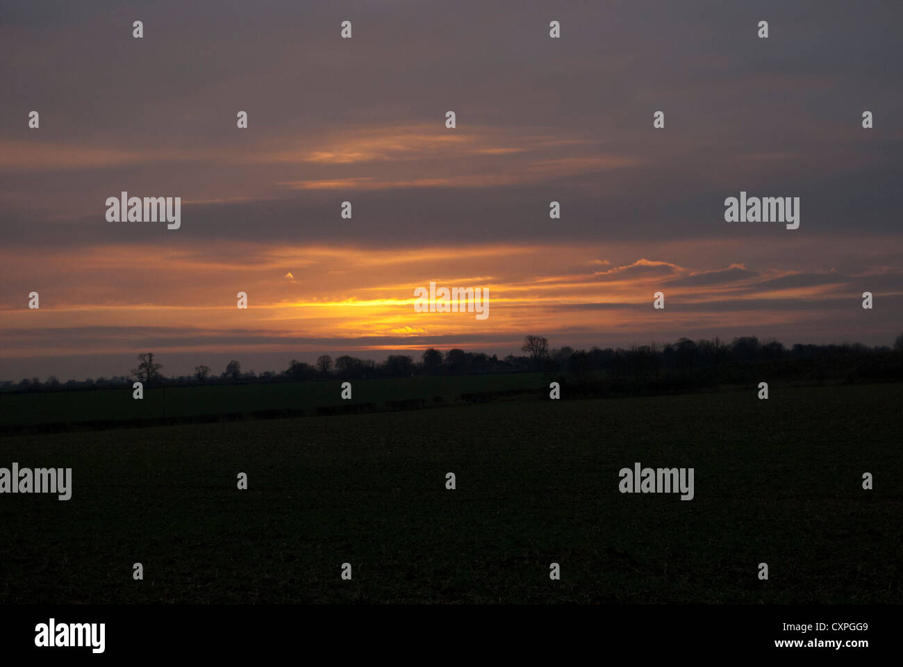 Sun setting behind distant trees with dark green fields in the ...