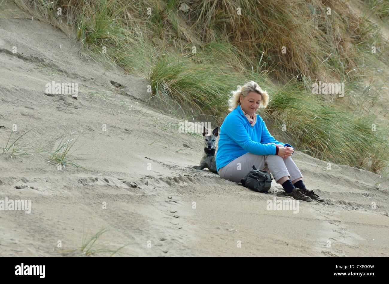 Mature woman and whippet sitting in sand dunes Stock Photo - Alamy