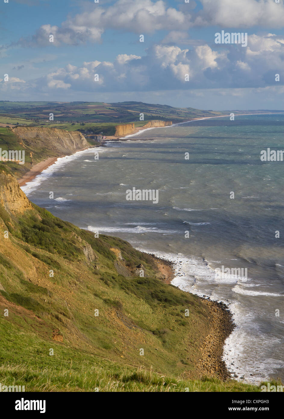 Dorset coast and sea view to Chesil beach from South West coastal path ...