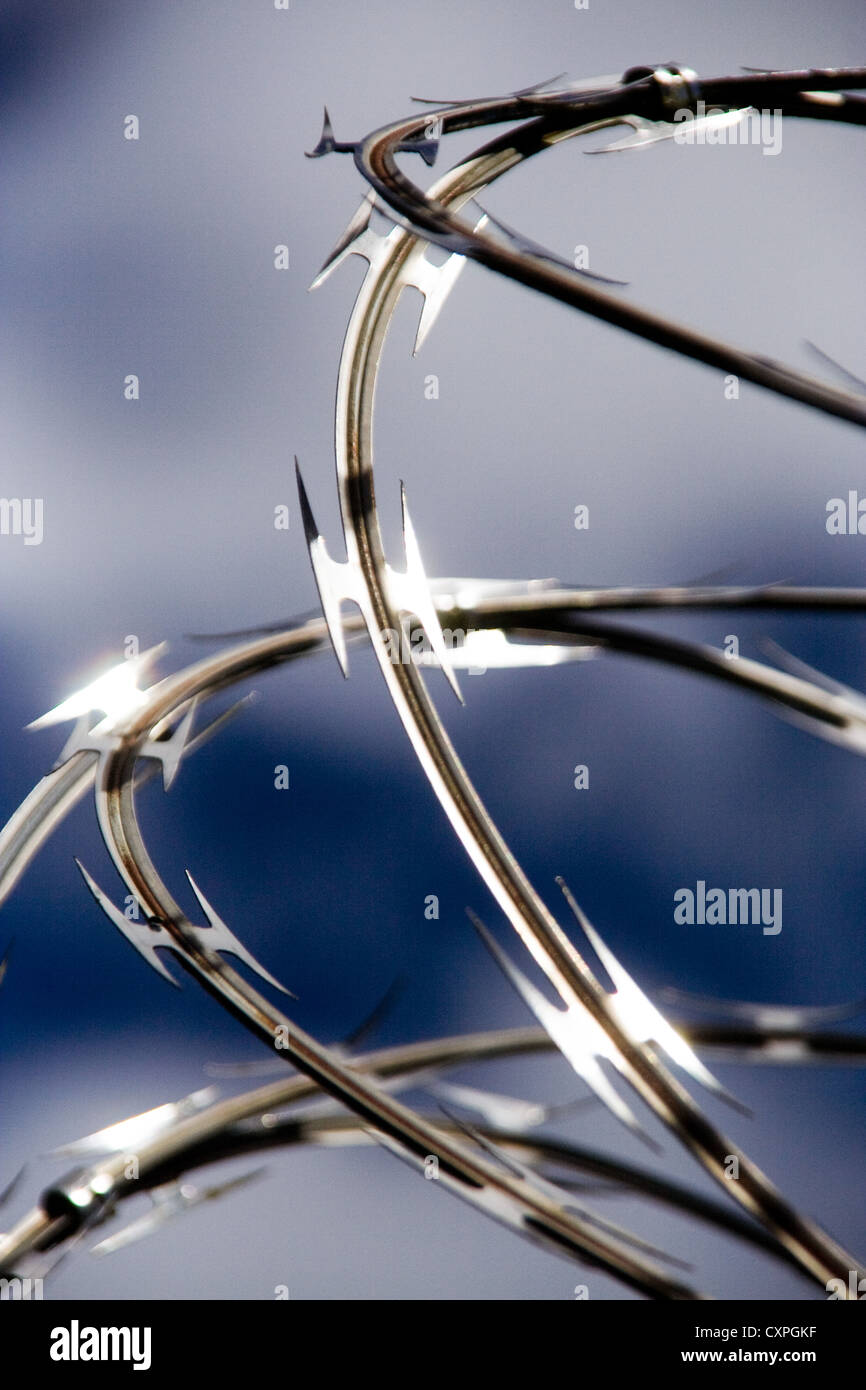 Razor wire security fencing Stock Photo - Alamy