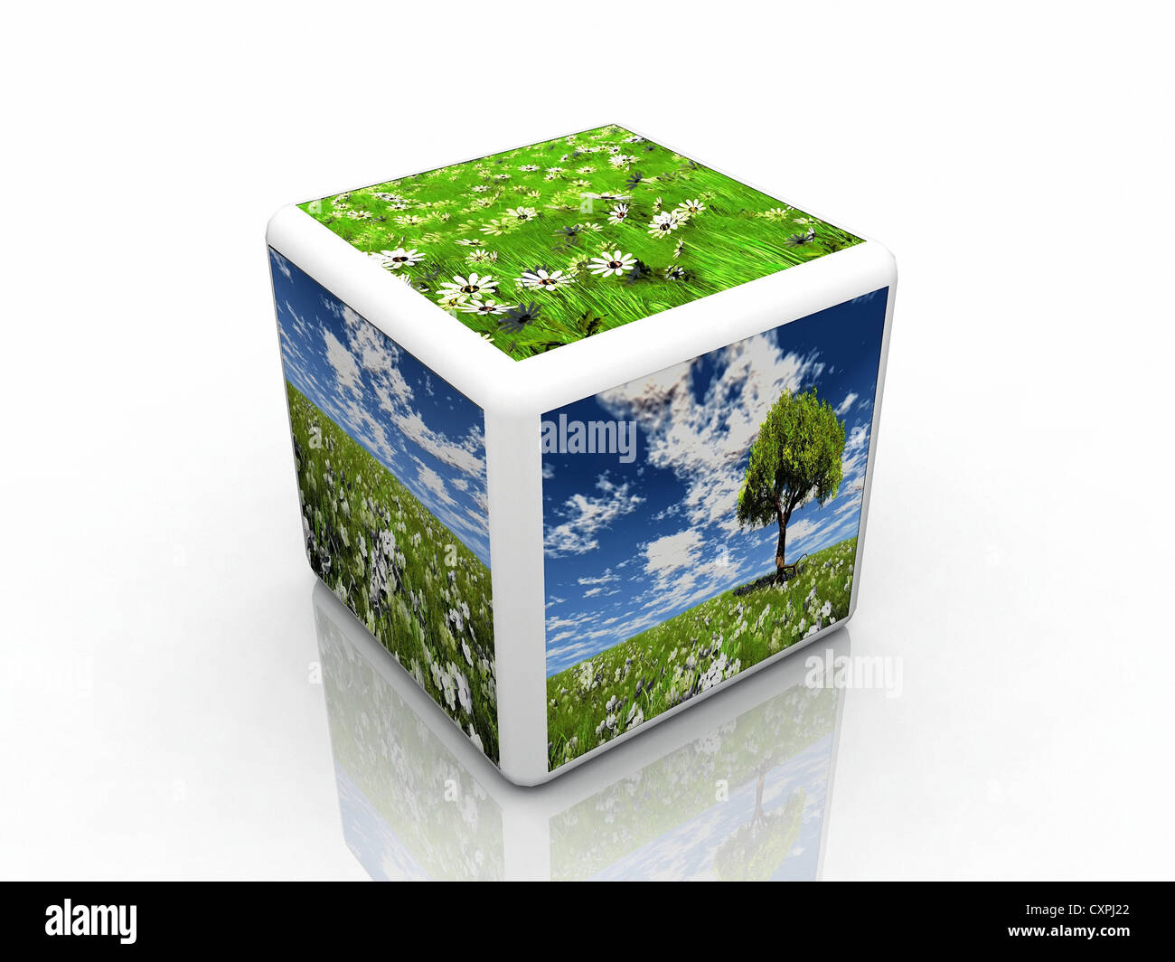 the nature cube with pictures Stock Photo - Alamy