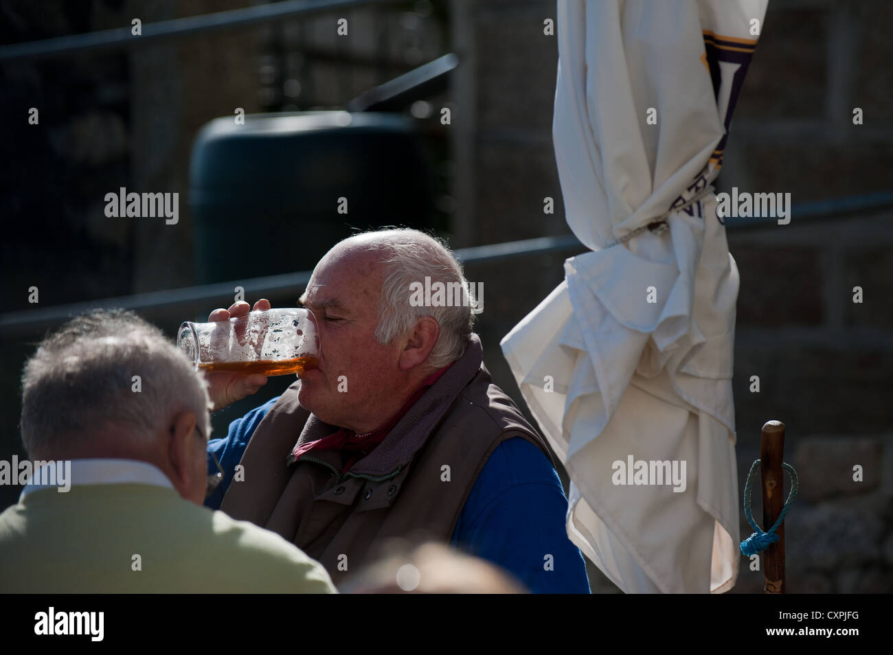 A man drinking a pint of beer Stock Photo - Alamy