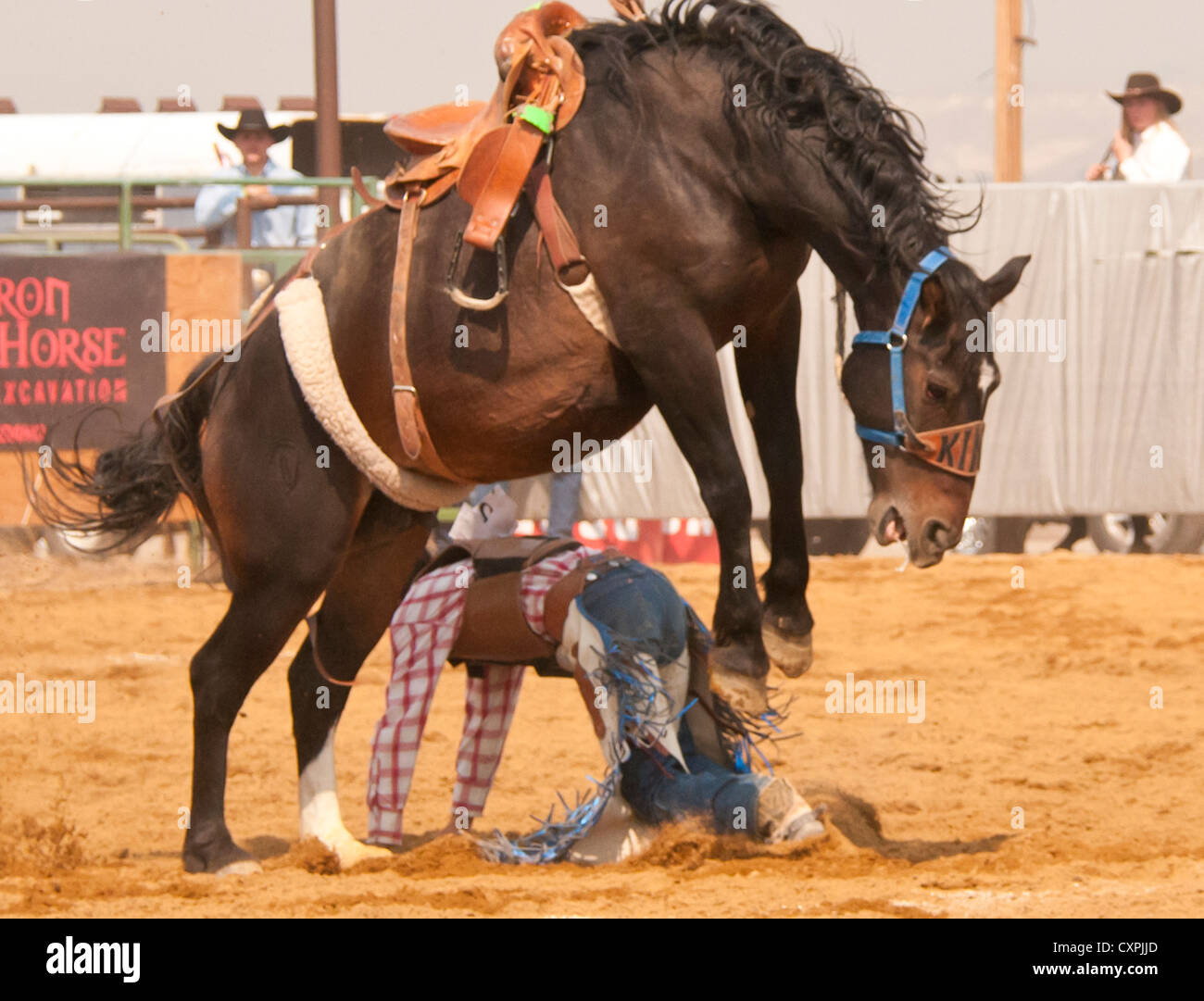 Cowboy Saddle Bronc riding during the Rodeo event, Bruneau, Idaho, USA ...