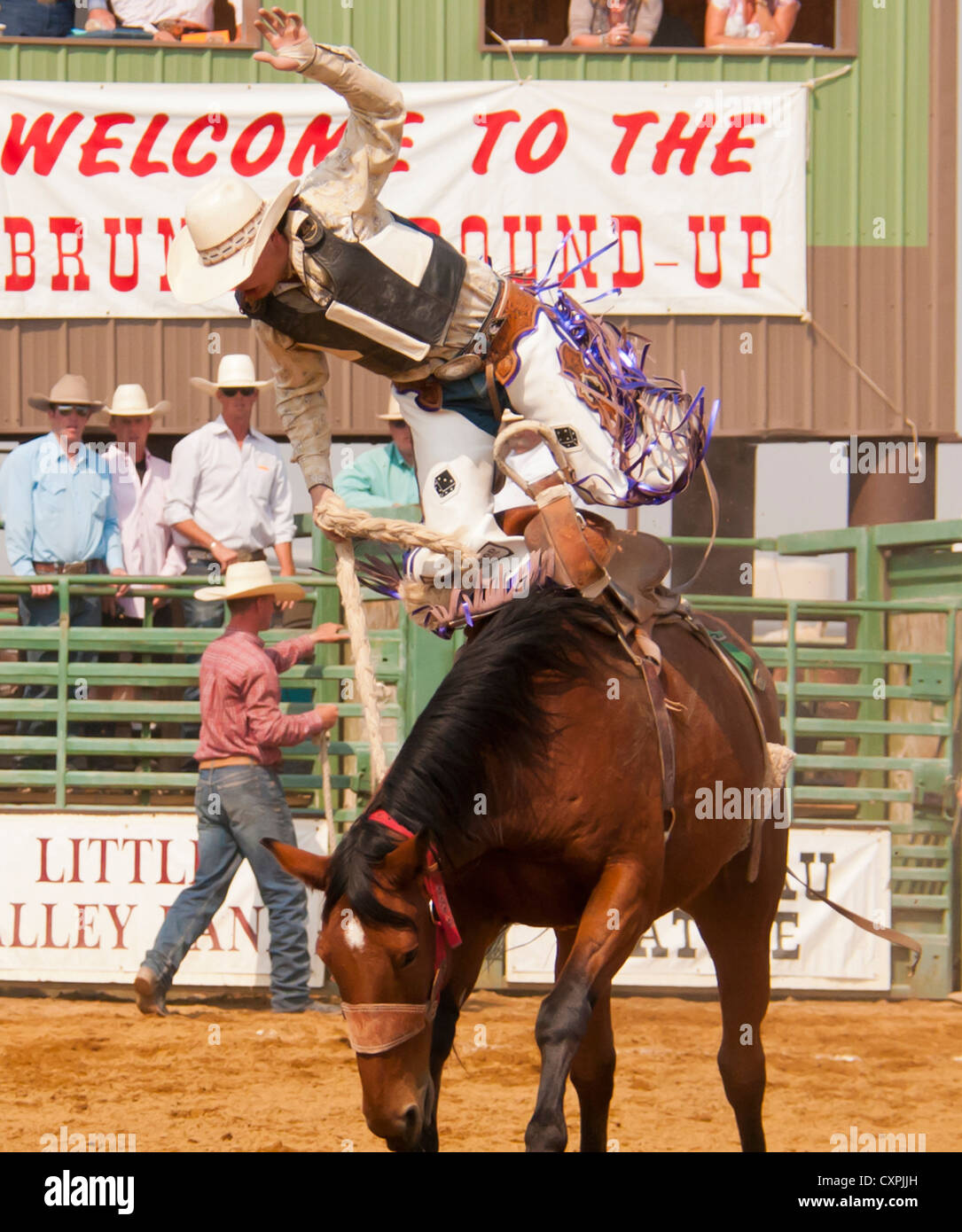 Cowboy Saddle Bronc riding during the Rodeo event, Bruneau, Idaho, USA ...