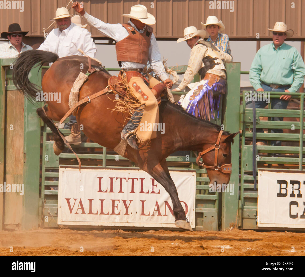 Usa idaho bruneau rodeo cowboy hi-res stock photography and images - Alamy