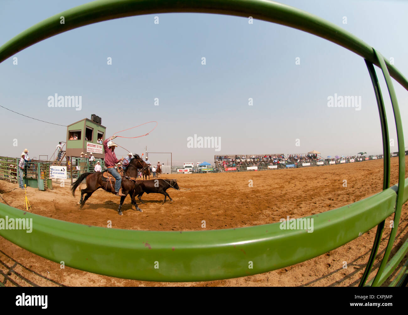 Cowboys team roping at the Rodeo event, Bruneau, Idaho, USA Stock Photo ...