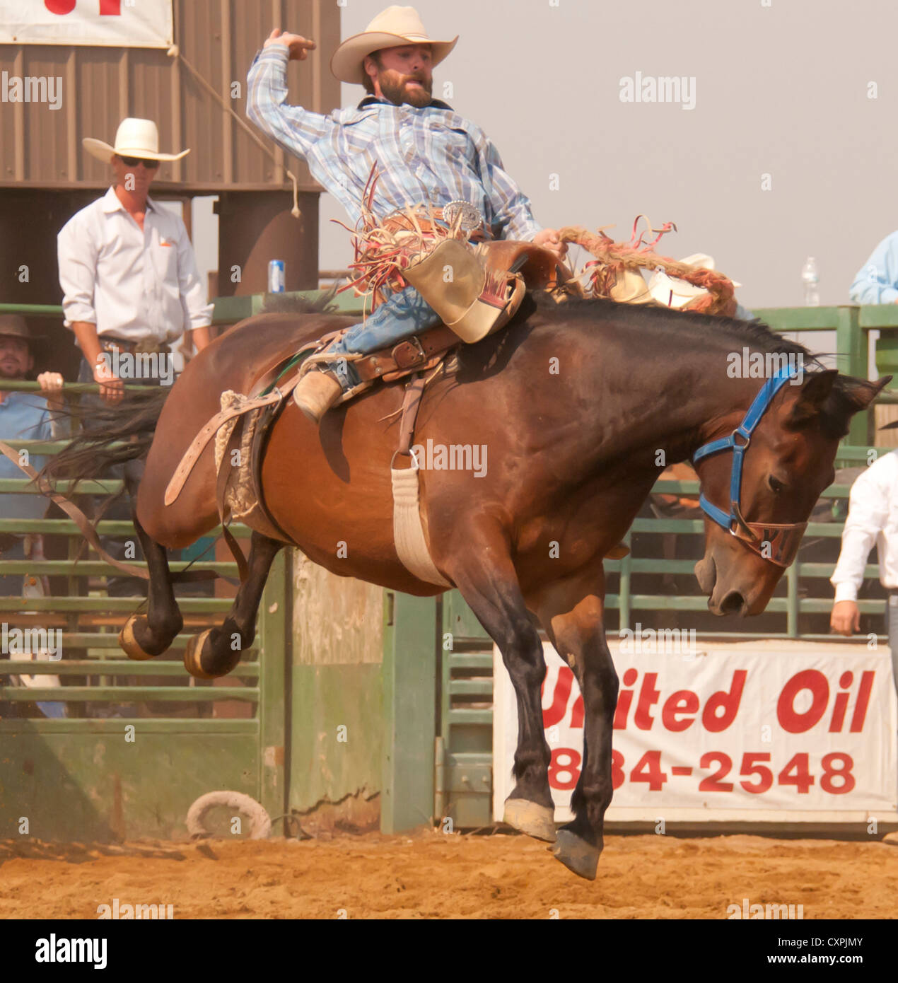 Cowboy Saddle Bronc riding during the Rodeo event, Bruneau, Idaho, USA ...