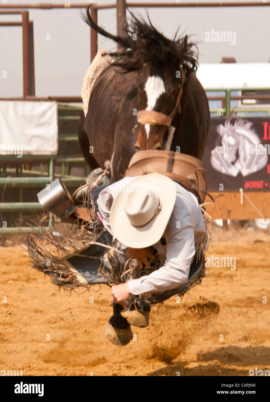 Usa idaho bruneau rodeo cowboy hi-res stock photography and images - Alamy