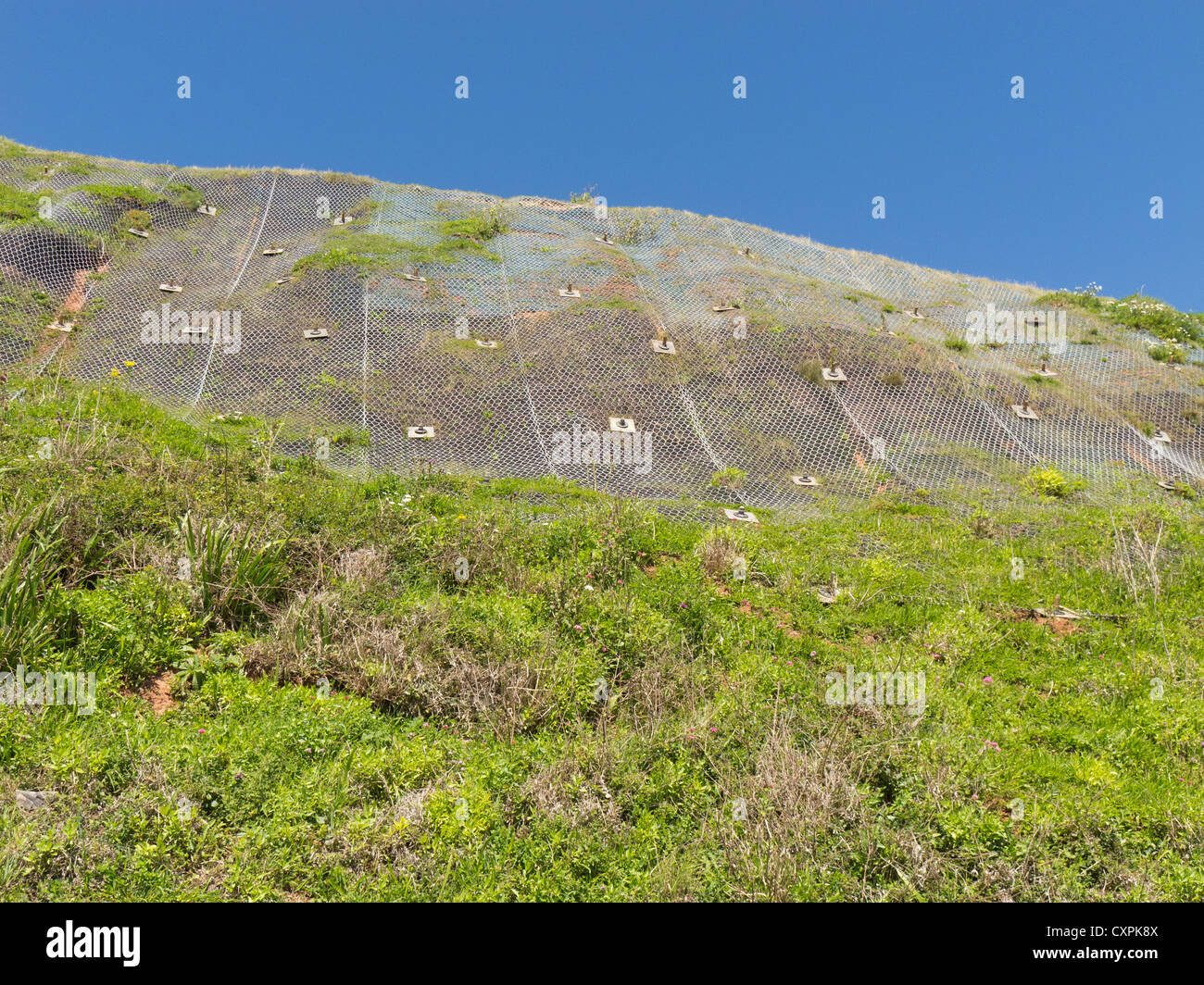Cliff preservation wire netting over cliff face. Branscombe Devon Stock ...