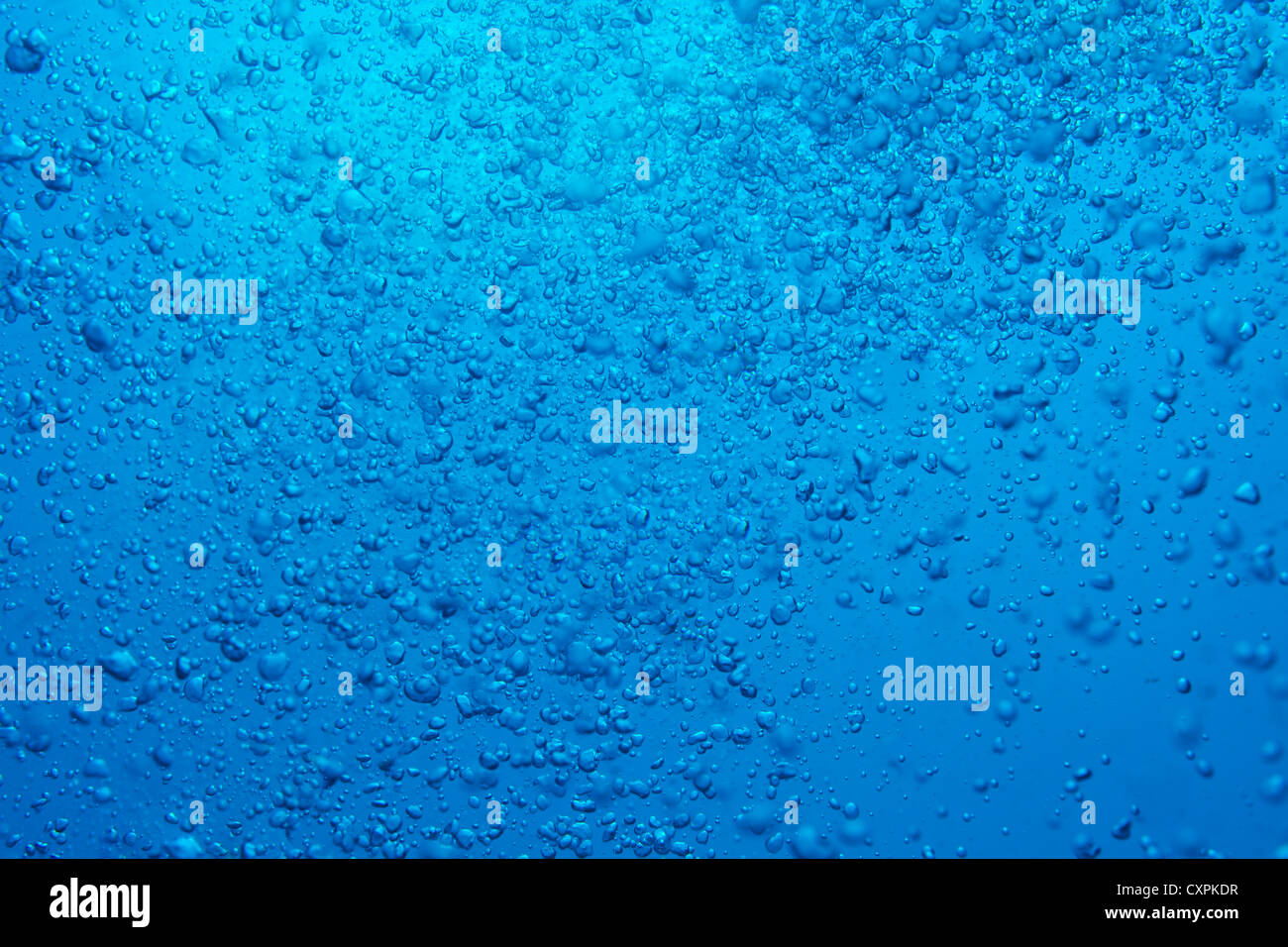 Underwater bubbles in bubble pool hi-res stock photography and images ...