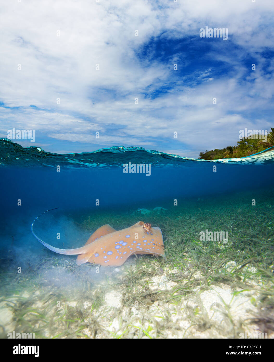 Underwater Shoot High Resolution Stock Photography and Images - Alamy